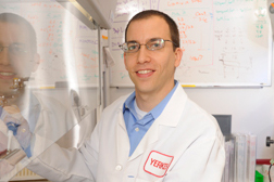 David Weiss, Emory University School of Medicine | Department of ...