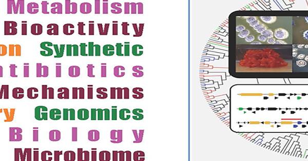 New Microbiology Course Listing! | Department of Microbiology